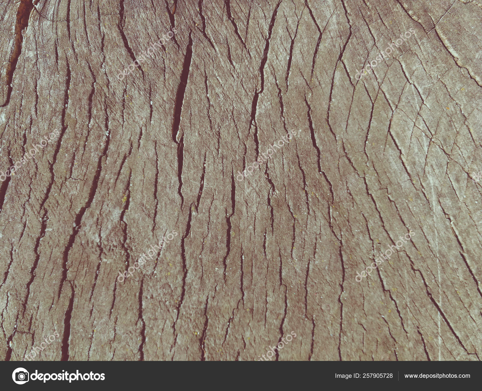 Cut Wood Texture Background — Stock Photo © aallm #257905728