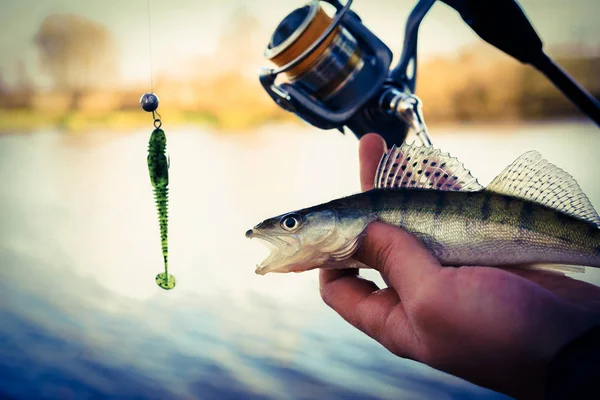 Fishing. Fisherman and fish - Stock Image - Everypixel