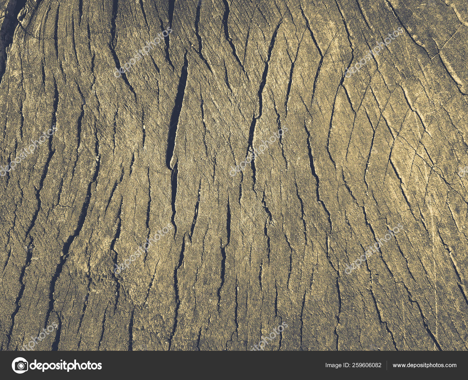 Cut Wood Texture Background Stock Photo by ©aallm 259606082