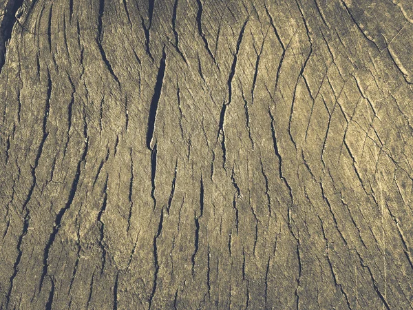Cut Wood Texture Background — Stock Photo © aallm #257905728