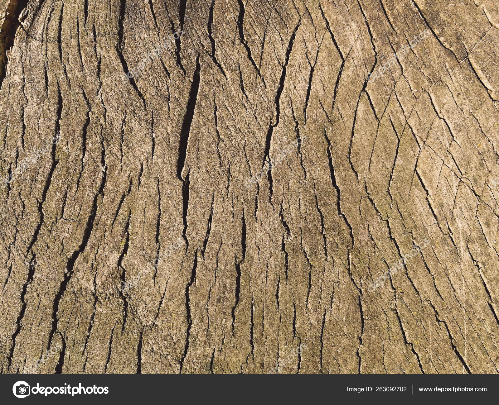 Cut Wood Texture Background Stock Photo by ©aallm 263092702