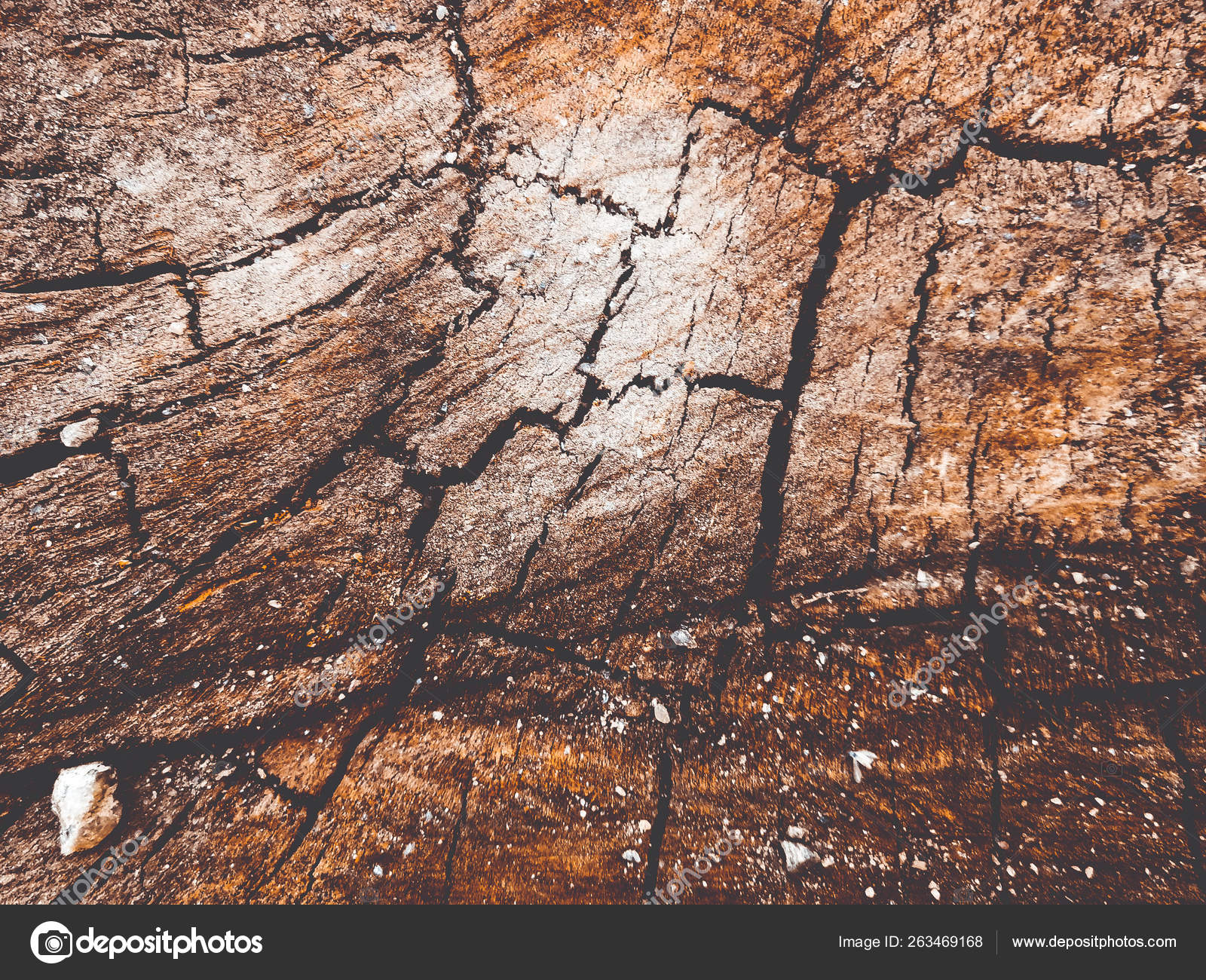 Cut Wood Textured Background Stock Photo by ©aallm 263469168