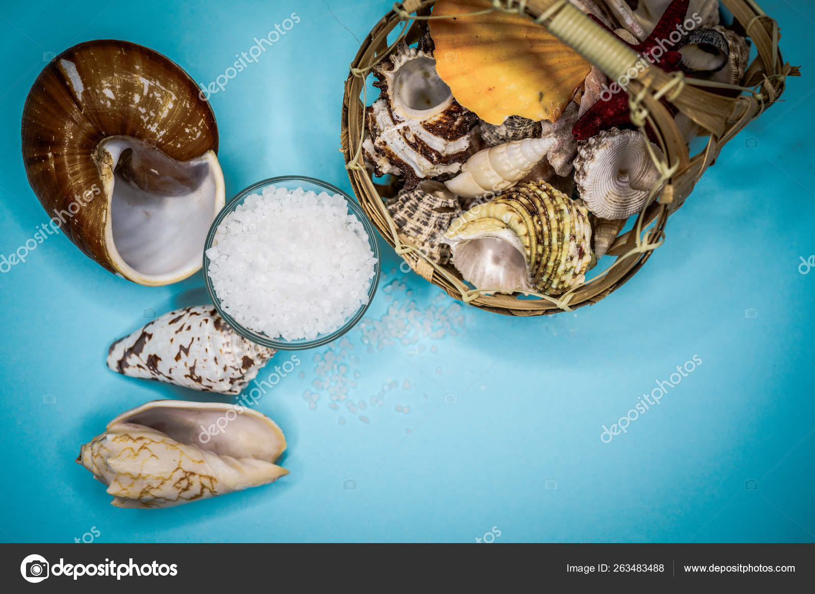 Shells and sea salt background Stock Photo by ©aallm 263483488