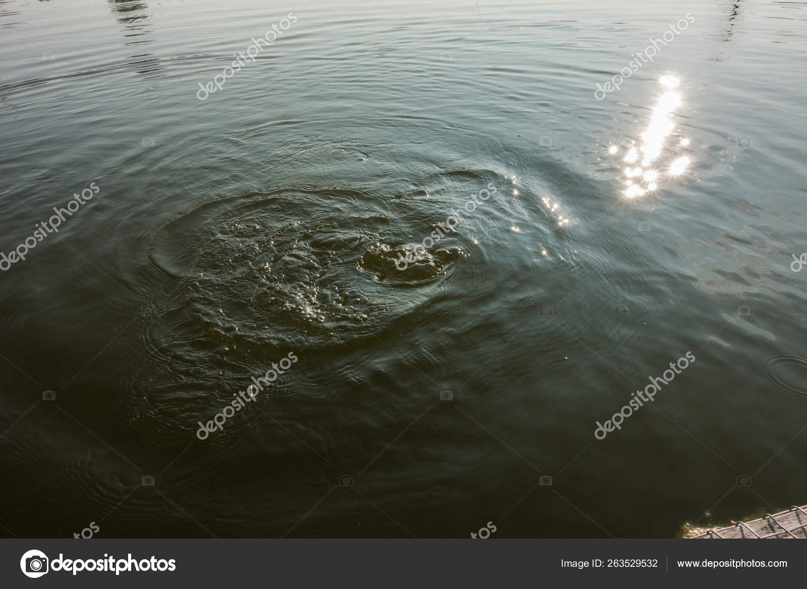 Good Fishing Catch Hobby — Stock Photo © aallm #263529532