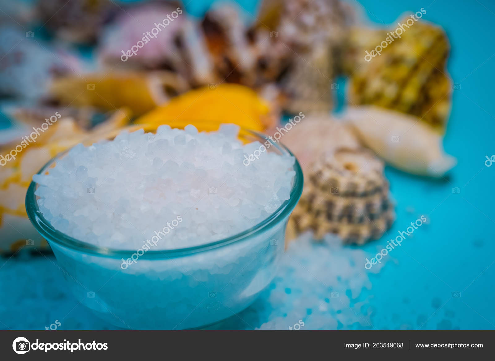 Background Sea Shells Blue Background Stock Photo by ©aallm 263549668