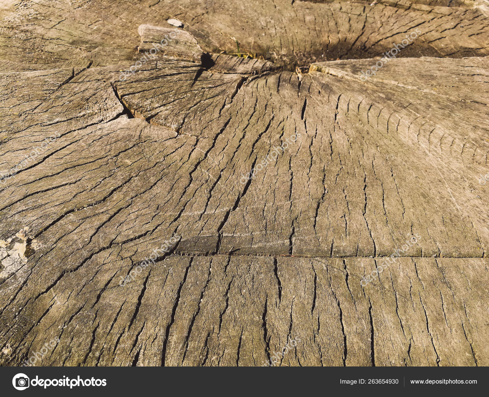 Cut Wood Texture Background Stock Photo by ©aallm 263654930