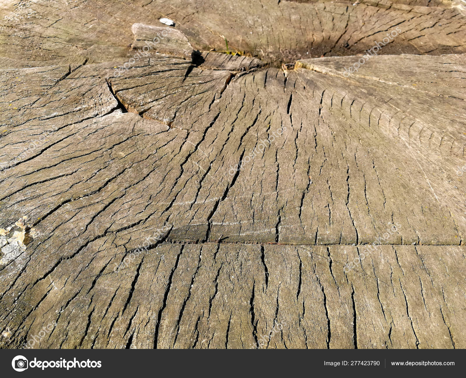 Cut wood texture Stock Photo by ©aallm 277423790