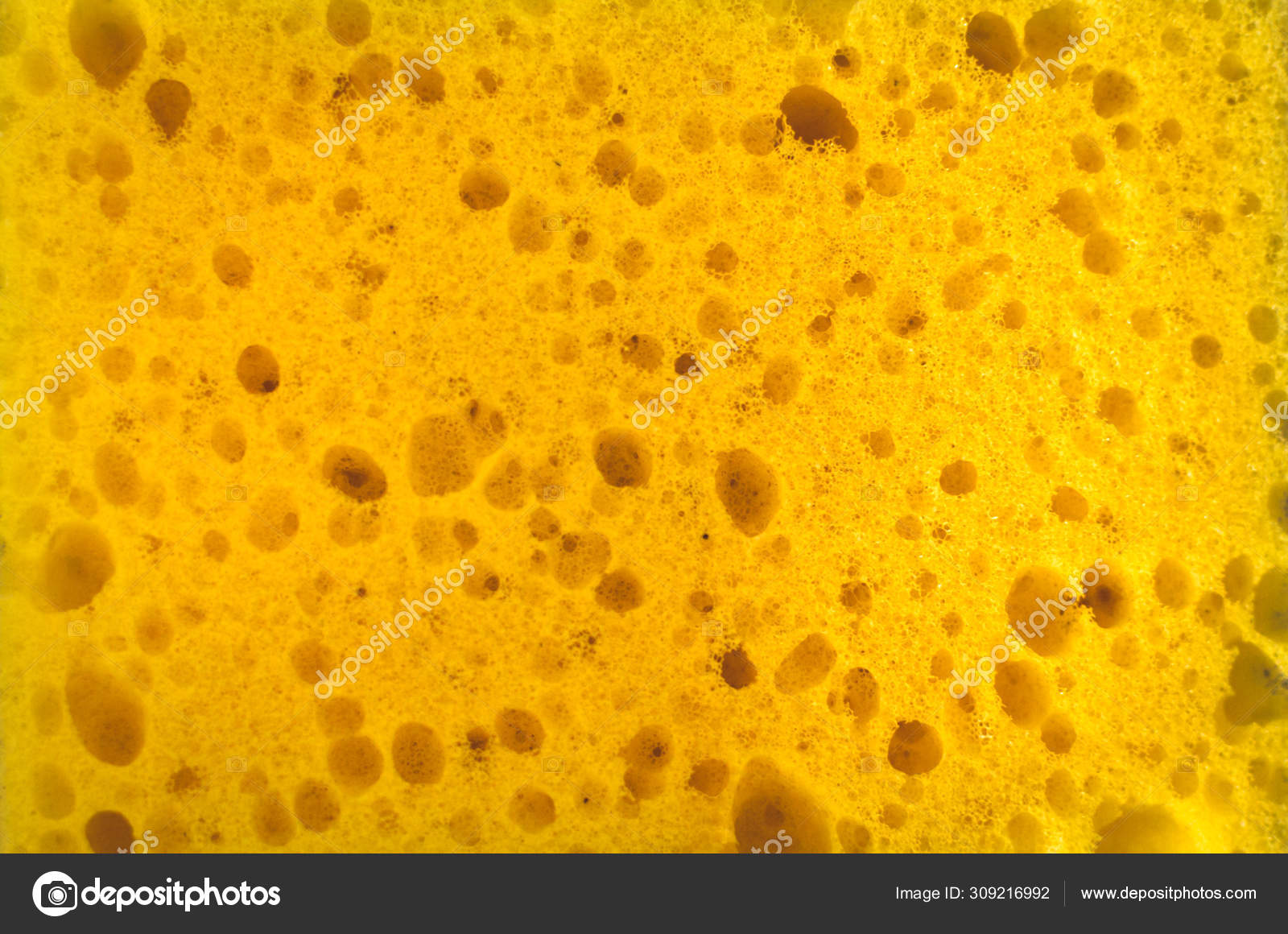Kitchen Sponge Texture