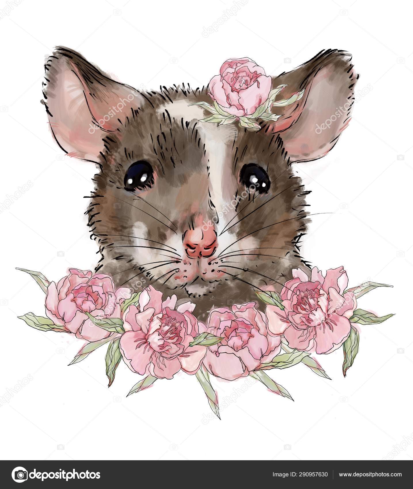 Cute Rat Peony Flowers Isolated White Background Year Rat Symbol Stock ...