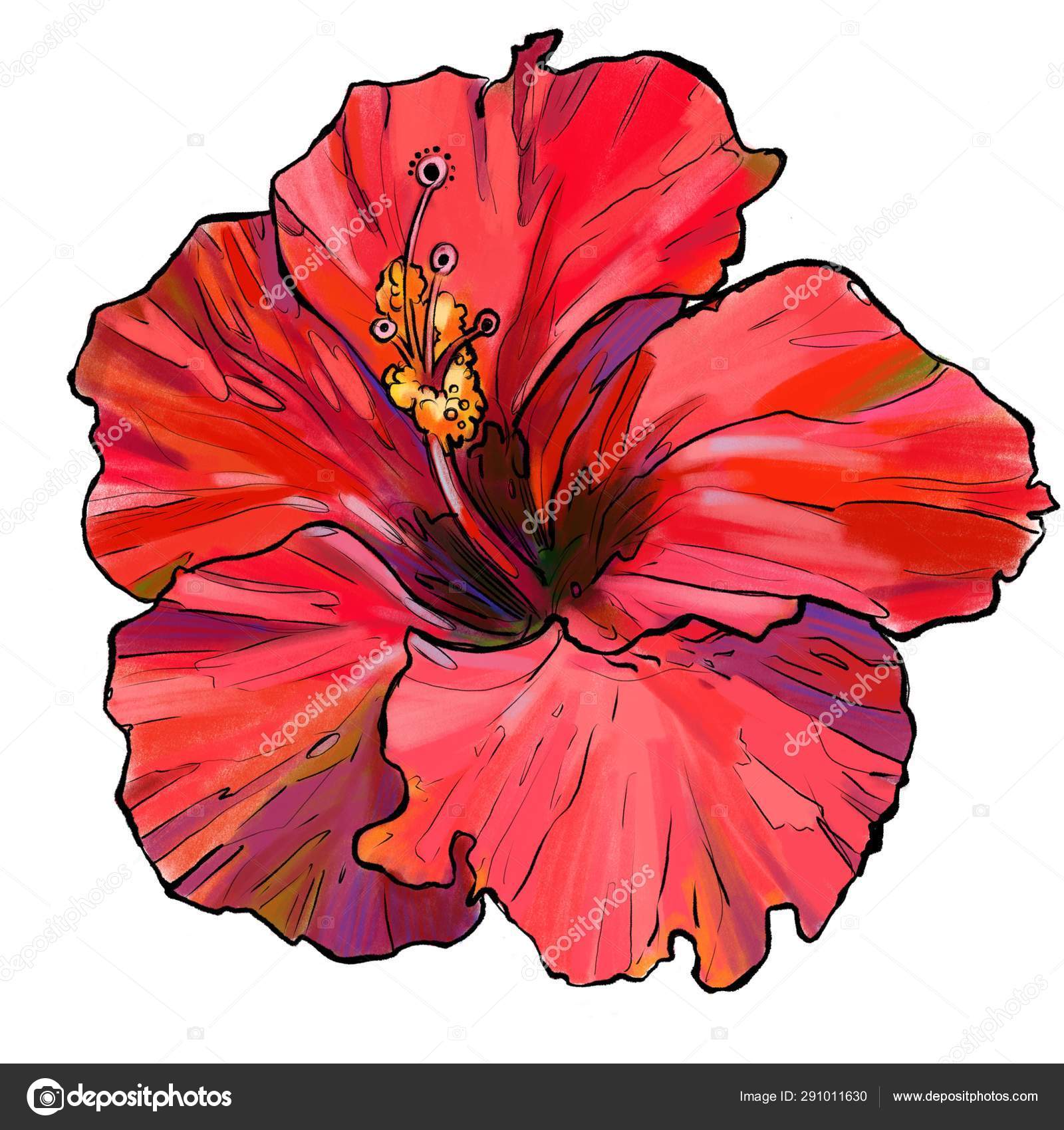 Tropical Flower Illustration