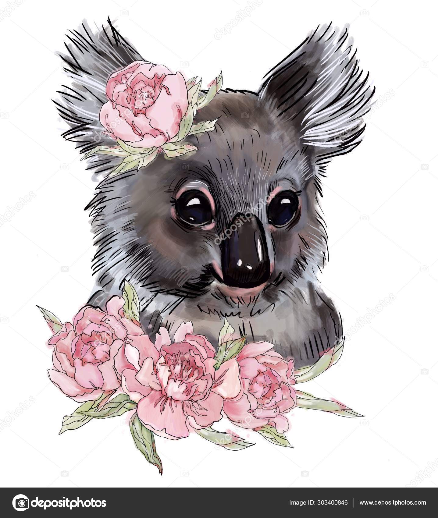 Cute Koala Pink Flowers Isolated White Background Stock Photo by ©Pure ...