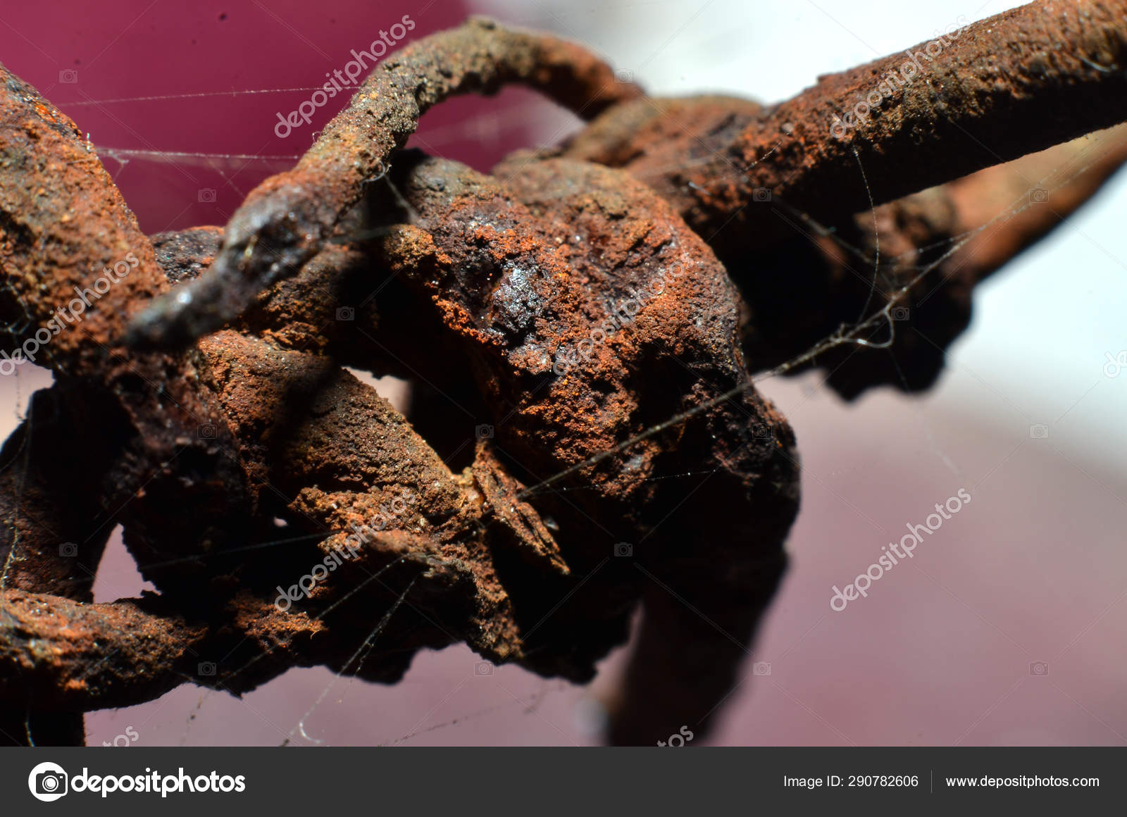Various Materials Made Iron Corroded Corrosion Rusting Process Electro ...