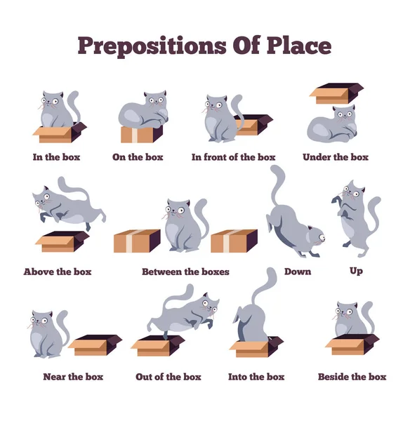 Lindo personaje de gato en diferentes poses con caja. Preposiciones de ...