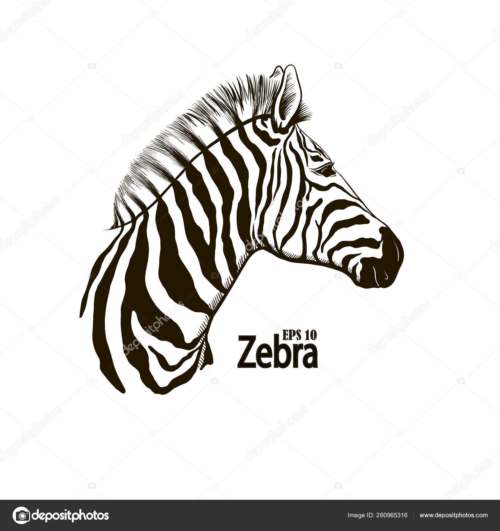 Zebra Head Outline