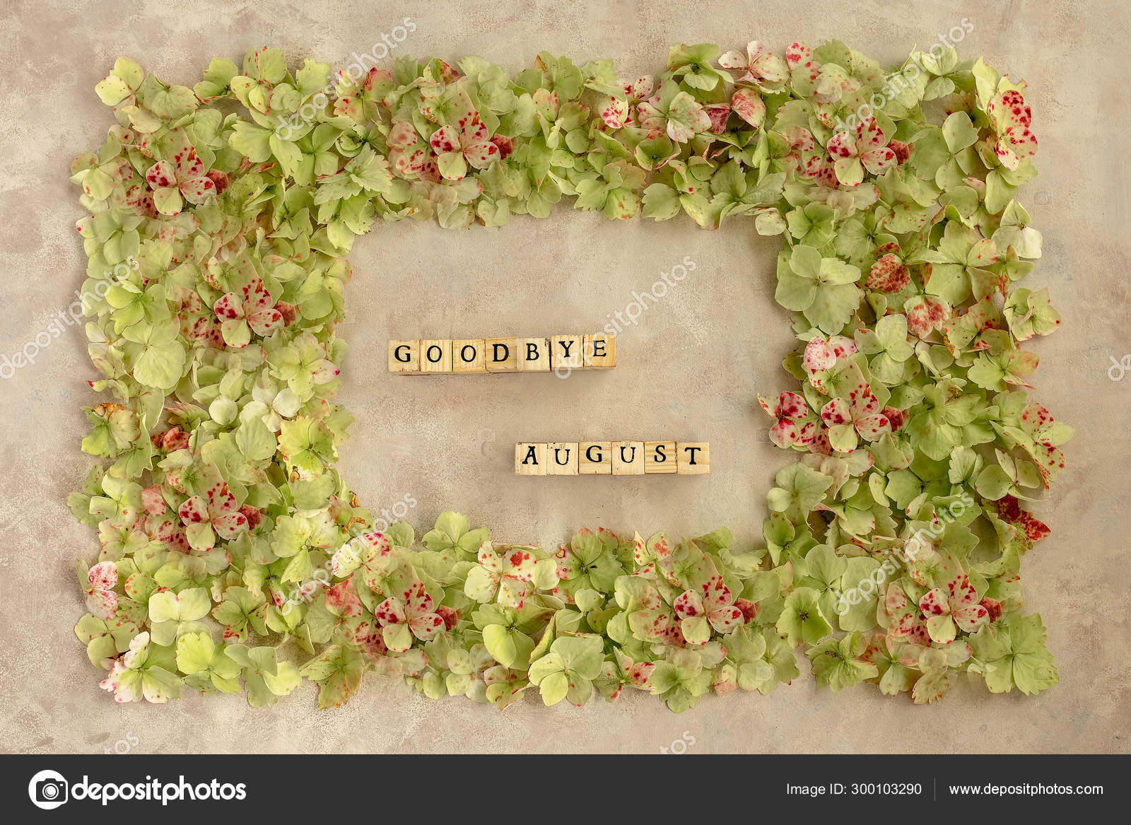 Goodbye August Decorative Sign Floral Frame Yellow Green Color Cream ...