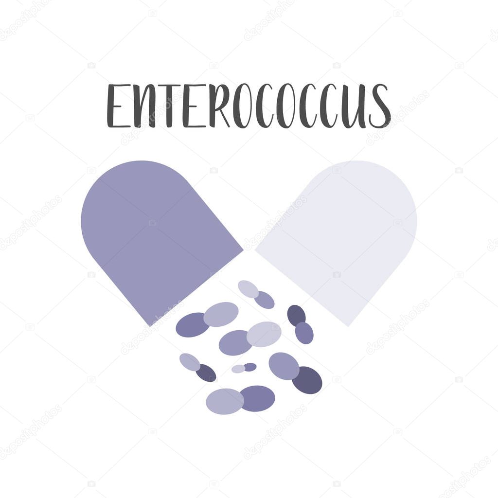 Enterococo Probióticos Bacterias Del Ácido Láctico Buenas Bacterias ...