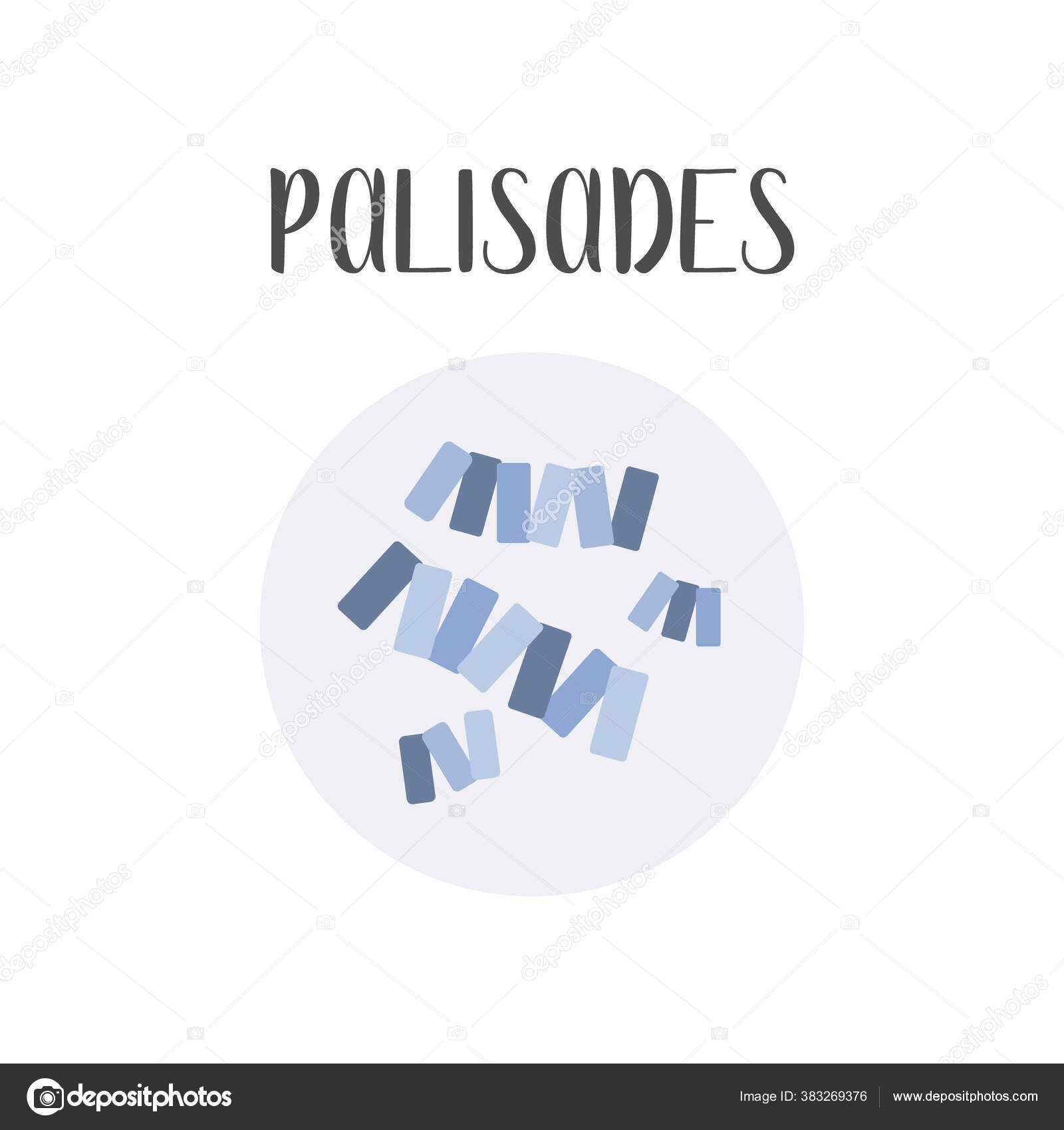 Des Palissades Classification Des Bactéries Formes Forme Tige Bactéries ...