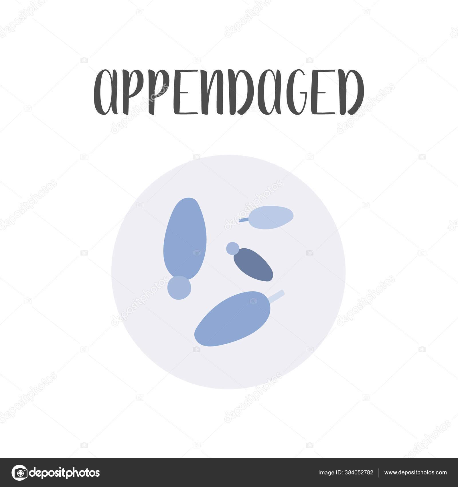 Appendaged Bacteria Irregular Shapes Bacteria Types Different Forms ...