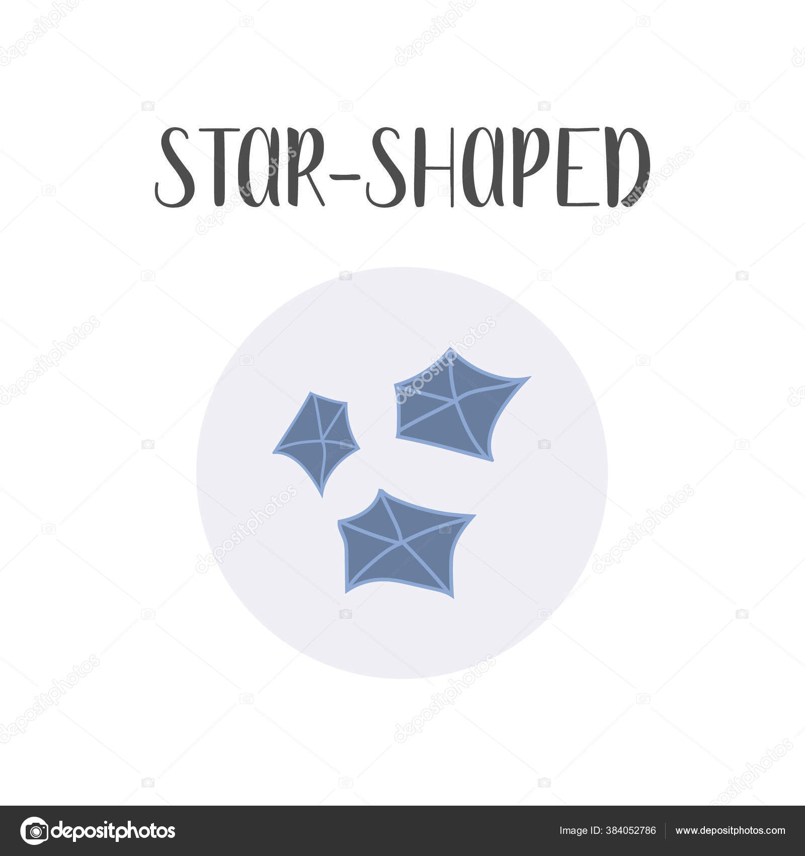 Star Shaped Bacteria Irregular Shapes Bacteria Types Different Forms ...