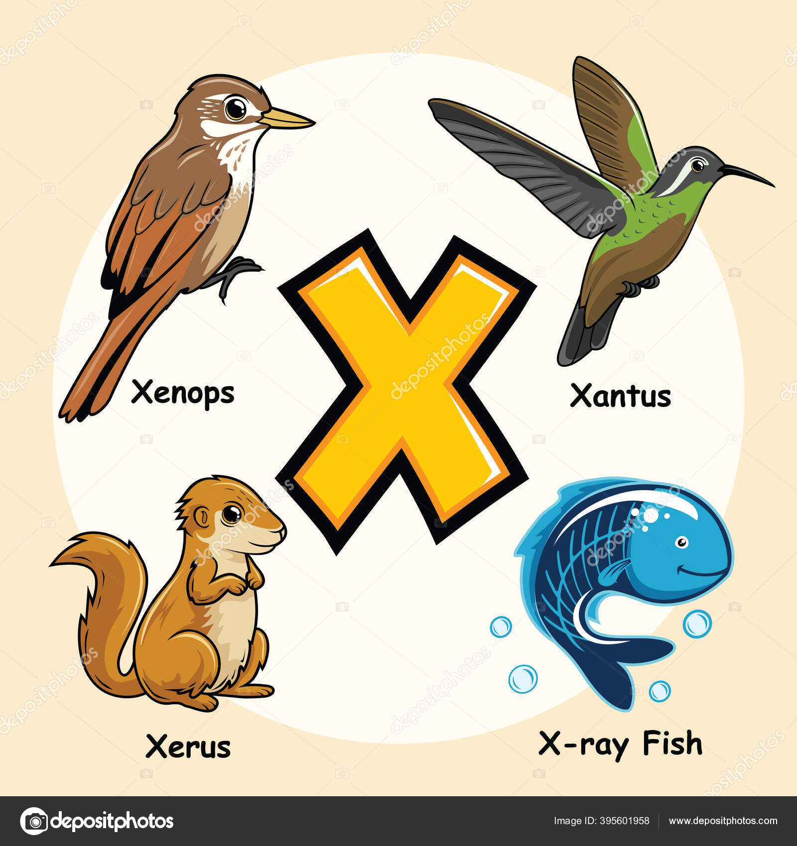 Xerus Animal