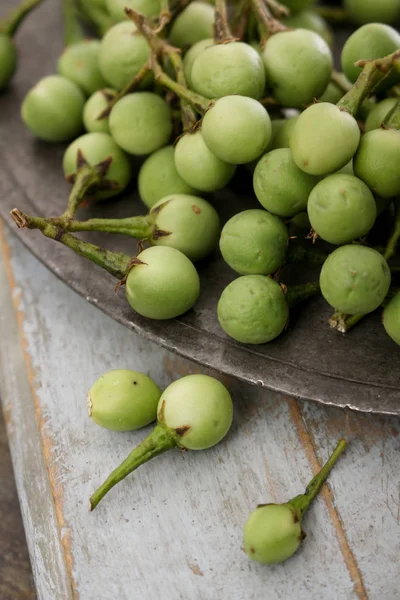 Zamorette Stock Photos, Royalty Free Zamorette Images | Depositphotos