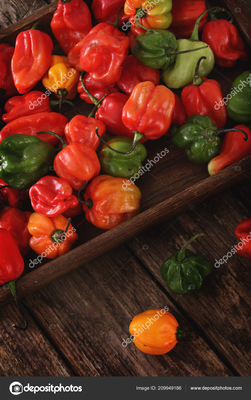 Hot Chili Peppers Table Stock Photo by ©neillangan 209949186