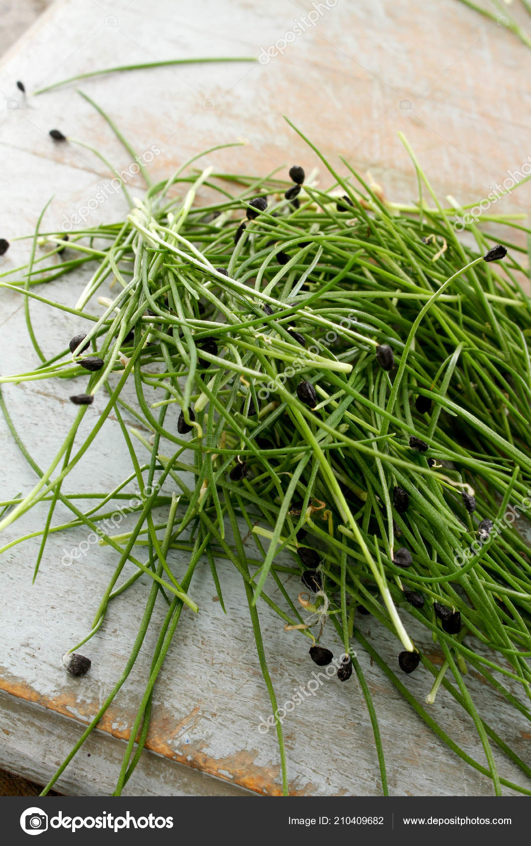 Fresh Micro Chive Herbs Stock Photo by ©neillangan 210409682