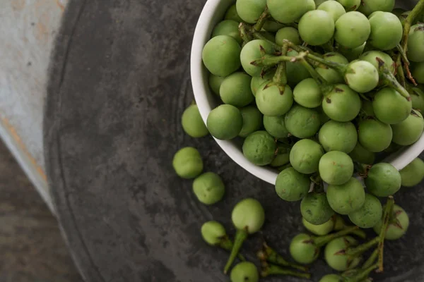 Zamorette Stock Photos, Royalty Free Zamorette Images | Depositphotos