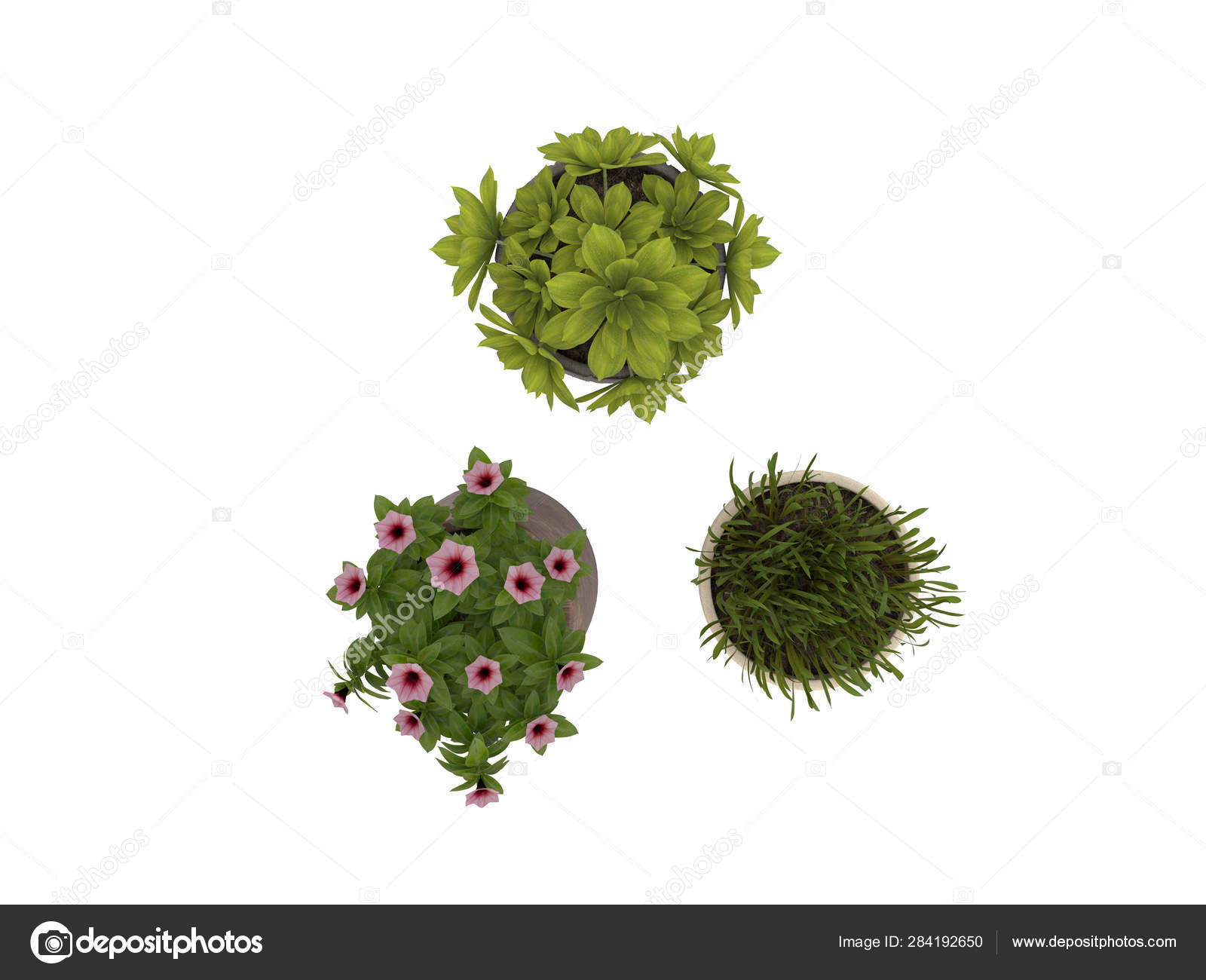 Flower Pot Set View Path Selection — Stock Photo © stanslavov1 #284192650