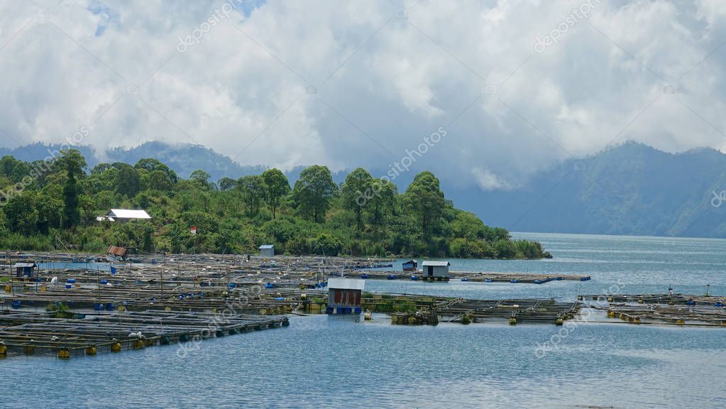 Granja de peces solitaria situada en aguas fértiles cerca de la selva ...