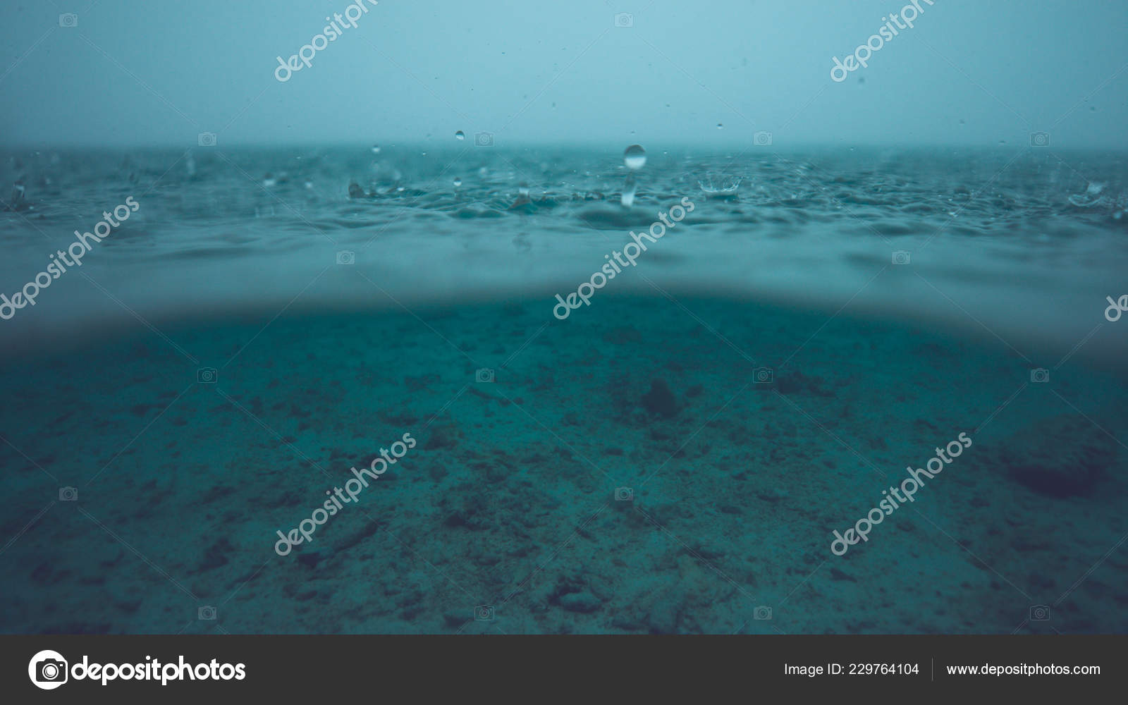 Half Submerged Camera
