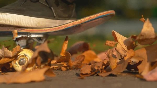 Fallen Skateboarding Wallpaper