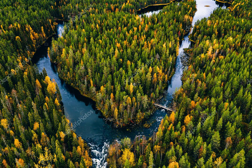 Vista aérea de ríos y lagos azules en el hermoso bosque de otoño ...