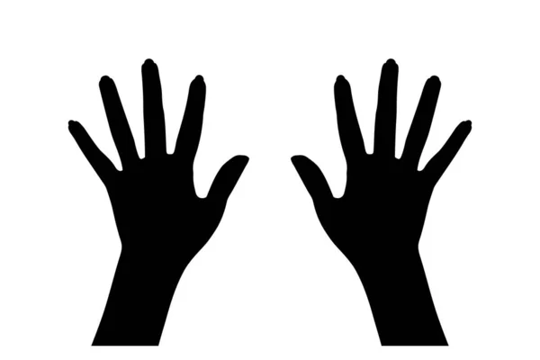 Cartoon Hands Isolated White Background Vector Illustration Stock ...