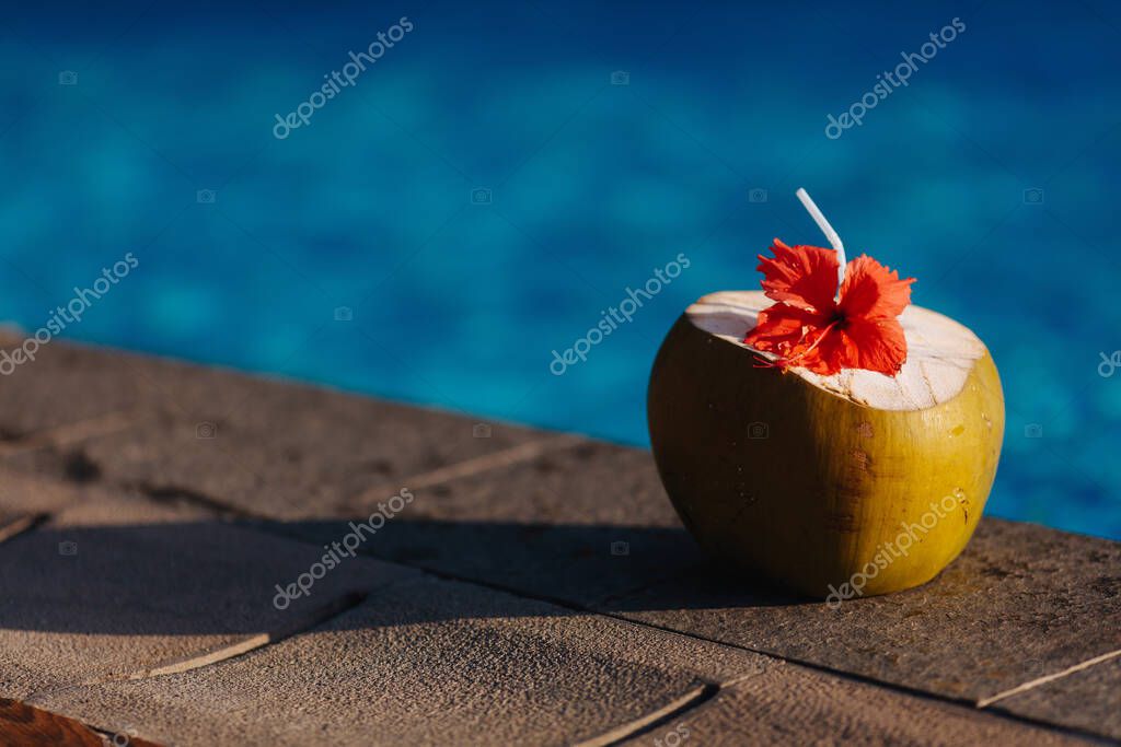 Amarillo coco grande de árbol tropical con flor exótica roja y paja ...