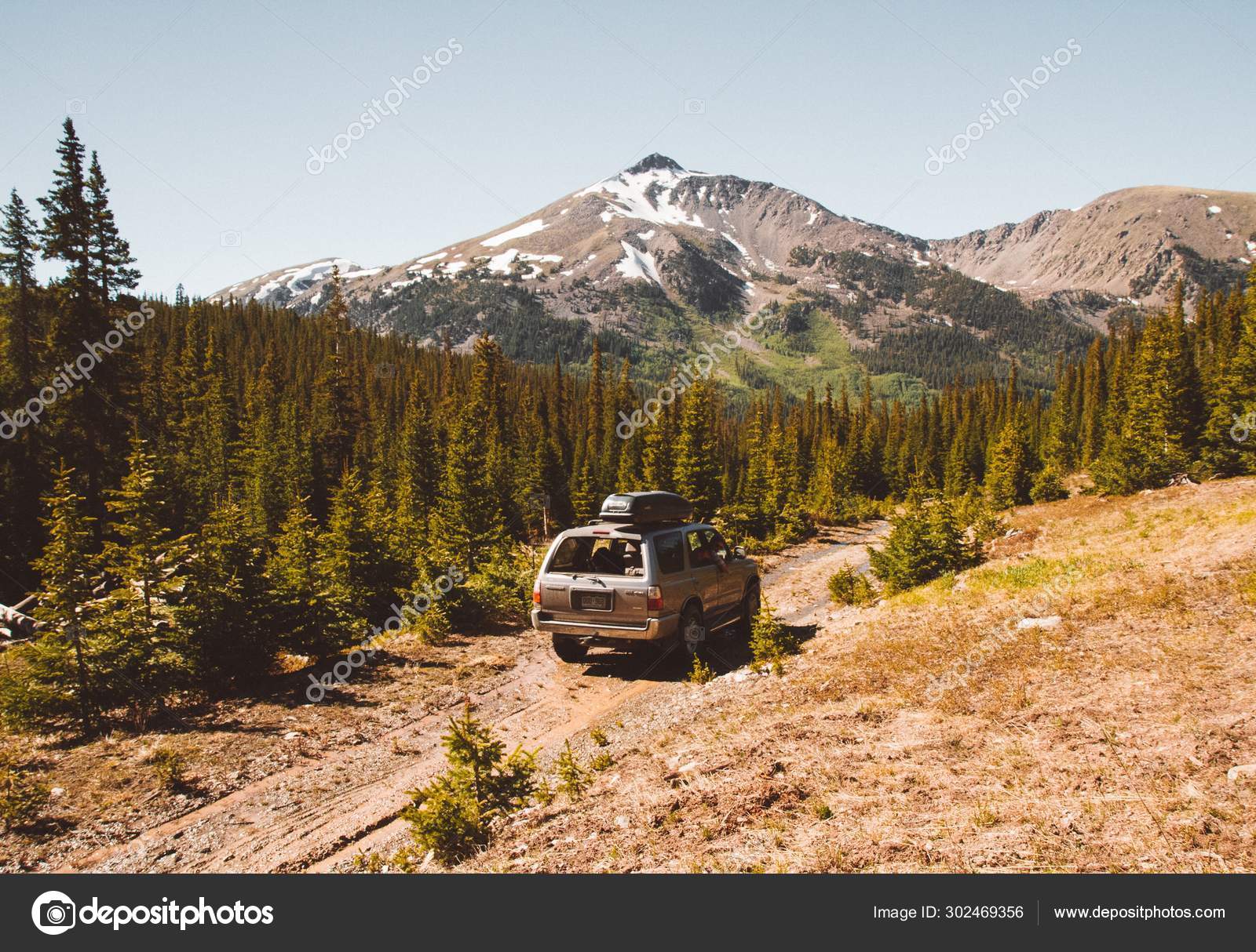 Car driving on a pathway in the middle of trees with mountain and a ...