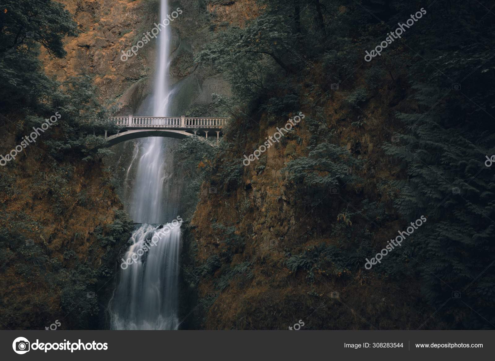 Una Hermosa Toma Puente Arco Forestal Con Increíbles Cascadas Claras ...