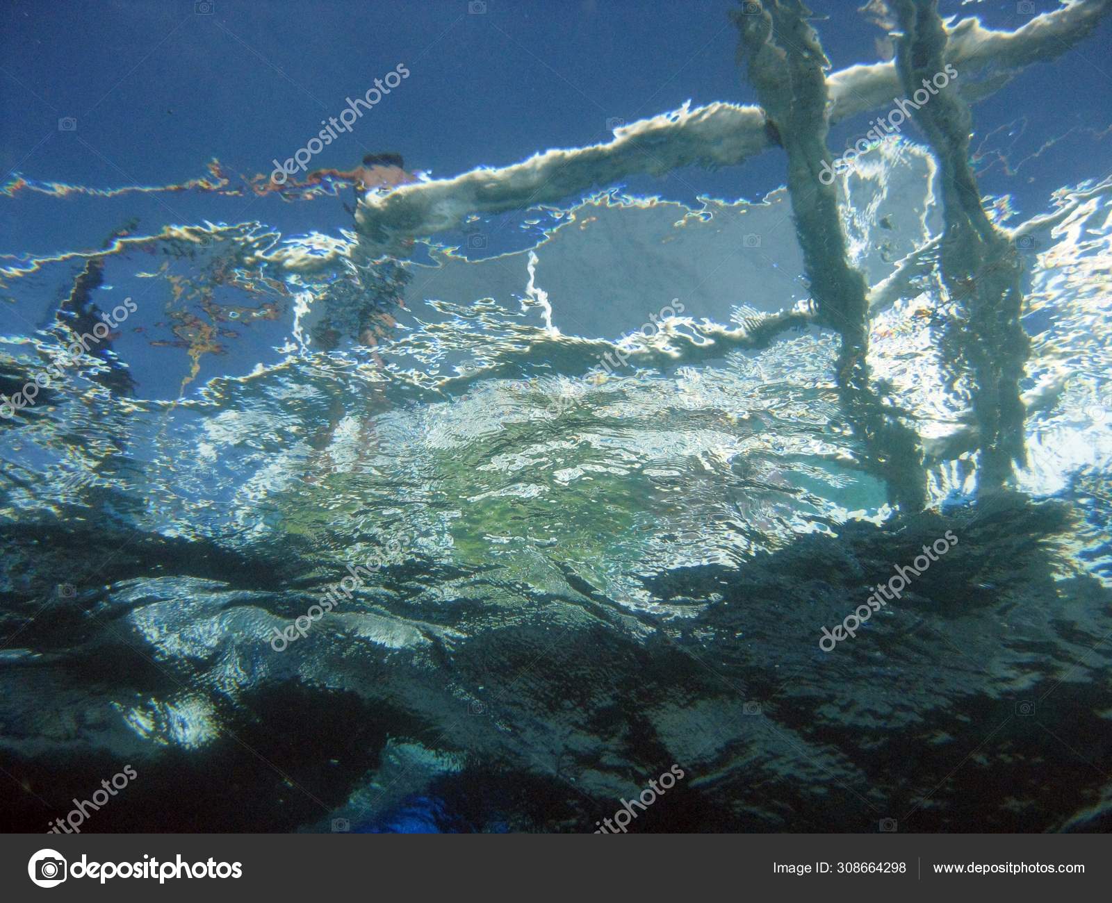 Wide Underwater Shot Sea Stock Photo by ©Wirestock 308664298