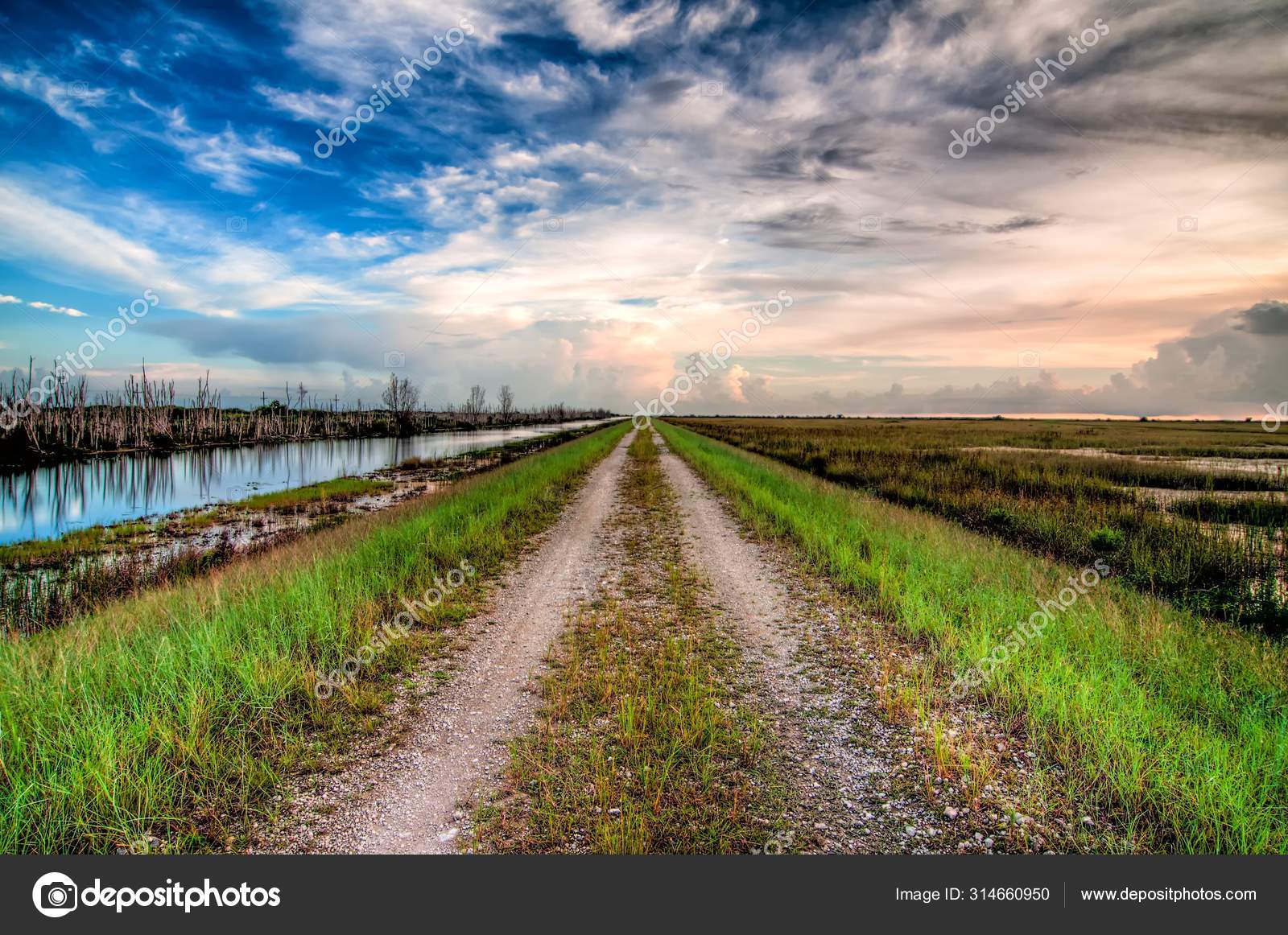 Green wet muddy field with a long lake under the colorful sky looking ...