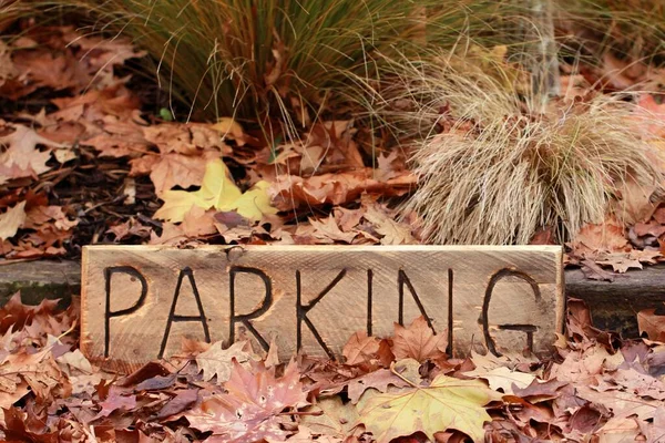 Tree carving font Stock Photos, Royalty Free Tree carving font Images ...