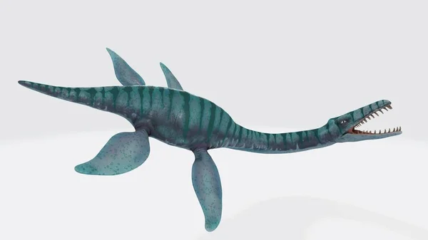 Plesiosaur Stock Photos, Royalty Free Plesiosaur Images | Depositphotos