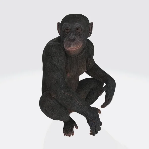 Juguete Mono Goma Aislado Sobre Fondo Rojo — Foto de stock #400066180 ...