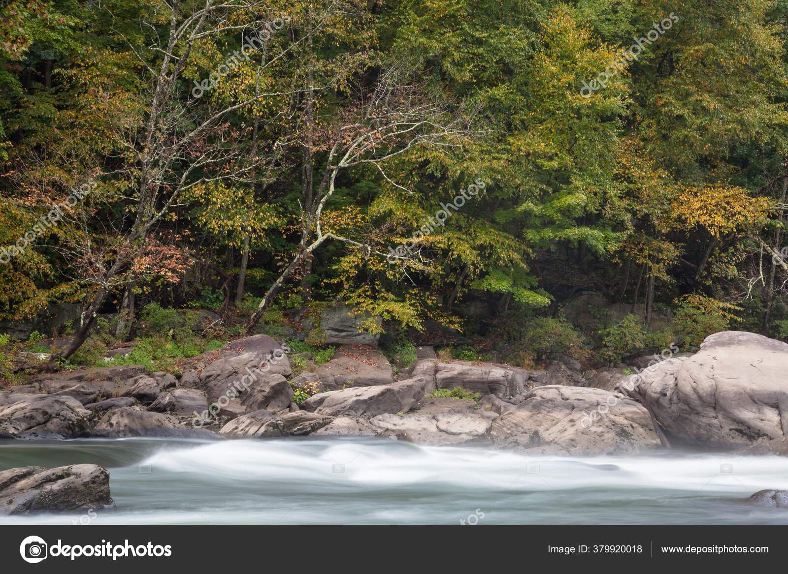 Tygart Valley River Surrounded Trees Daylight Valley Falls State Park ...