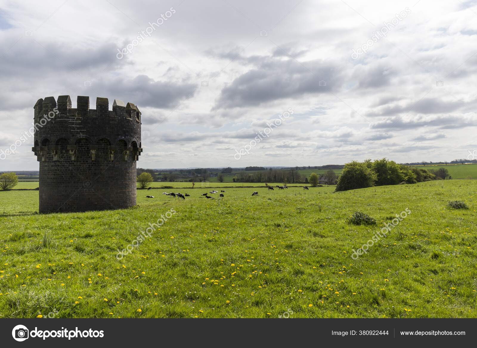 Tower Shaped Silo Castle Middle Meadow Animals Graze Stock Photo by ...