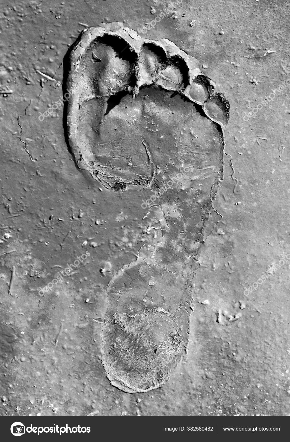 High Angle Shot Huge Human Footstep Wet Soil — Stock Photo © Wirestock ...