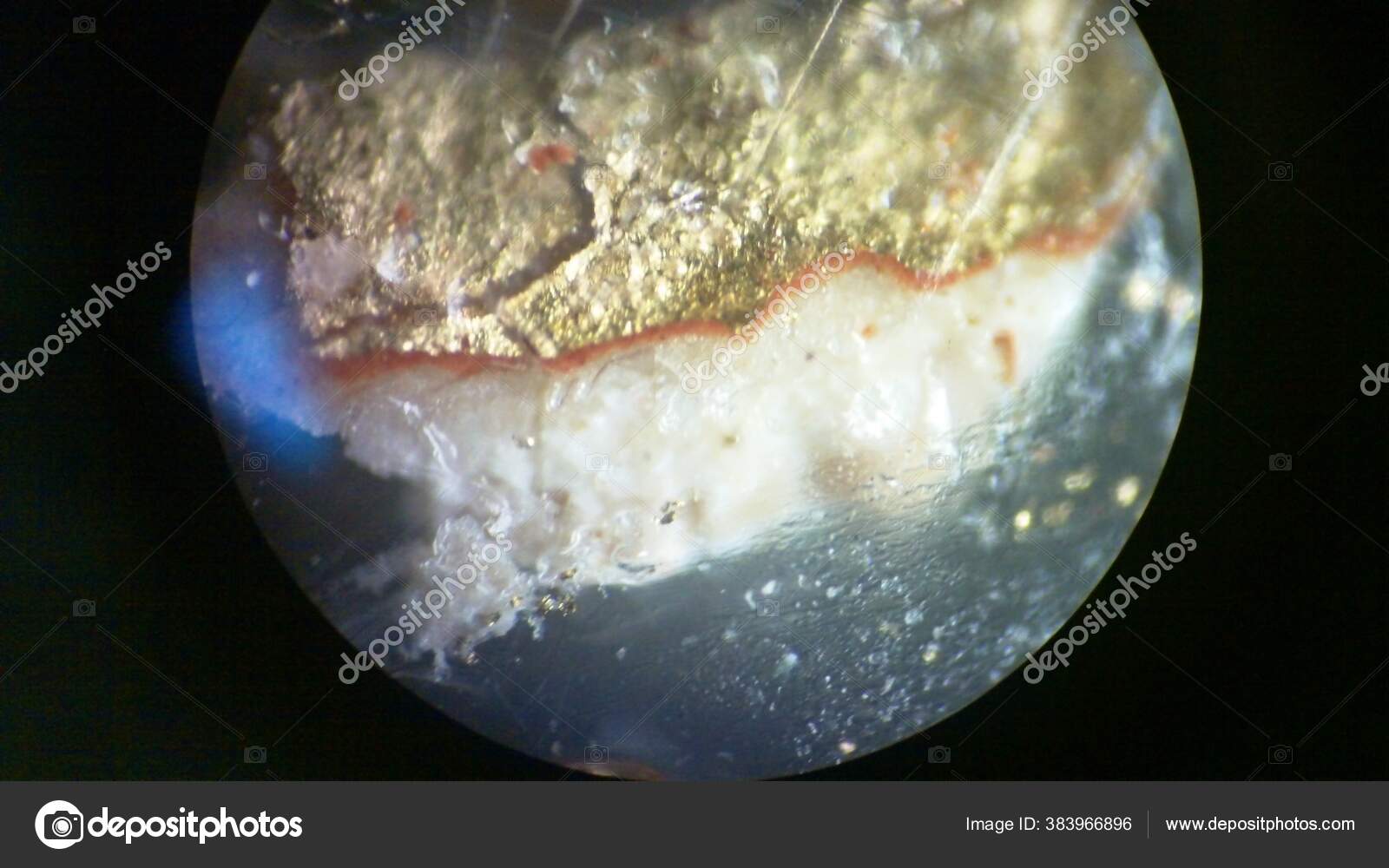 Macro Shot Gold Microscope — Stock Photo © Wirestock #383966896