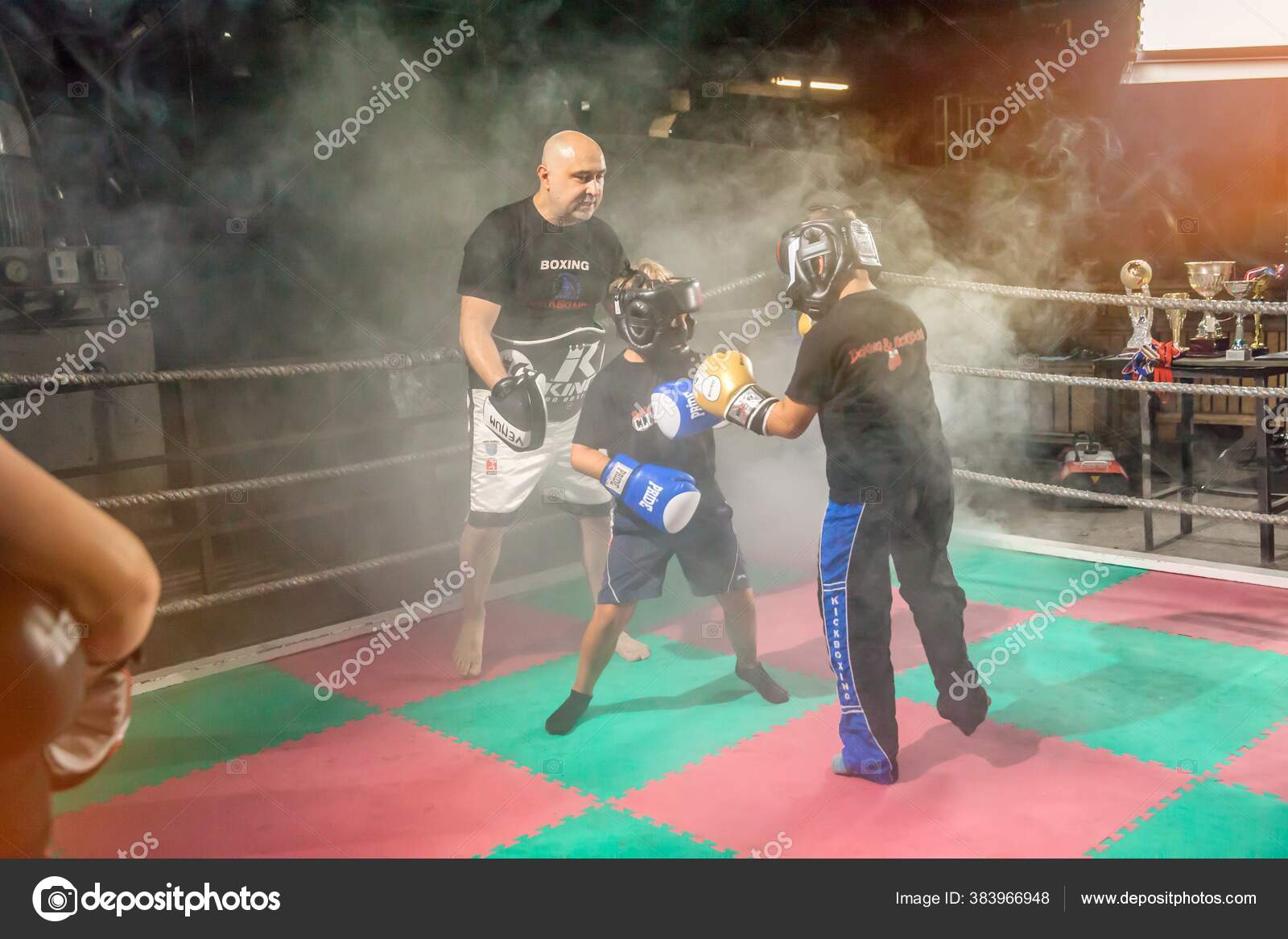 Kamnik Slovenia Aug 2019 Powerful Young Boxers Wear Boxing Gloves ...