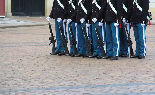 Danish royal guard Pictures, Danish royal guard Stock Photos & Images ...