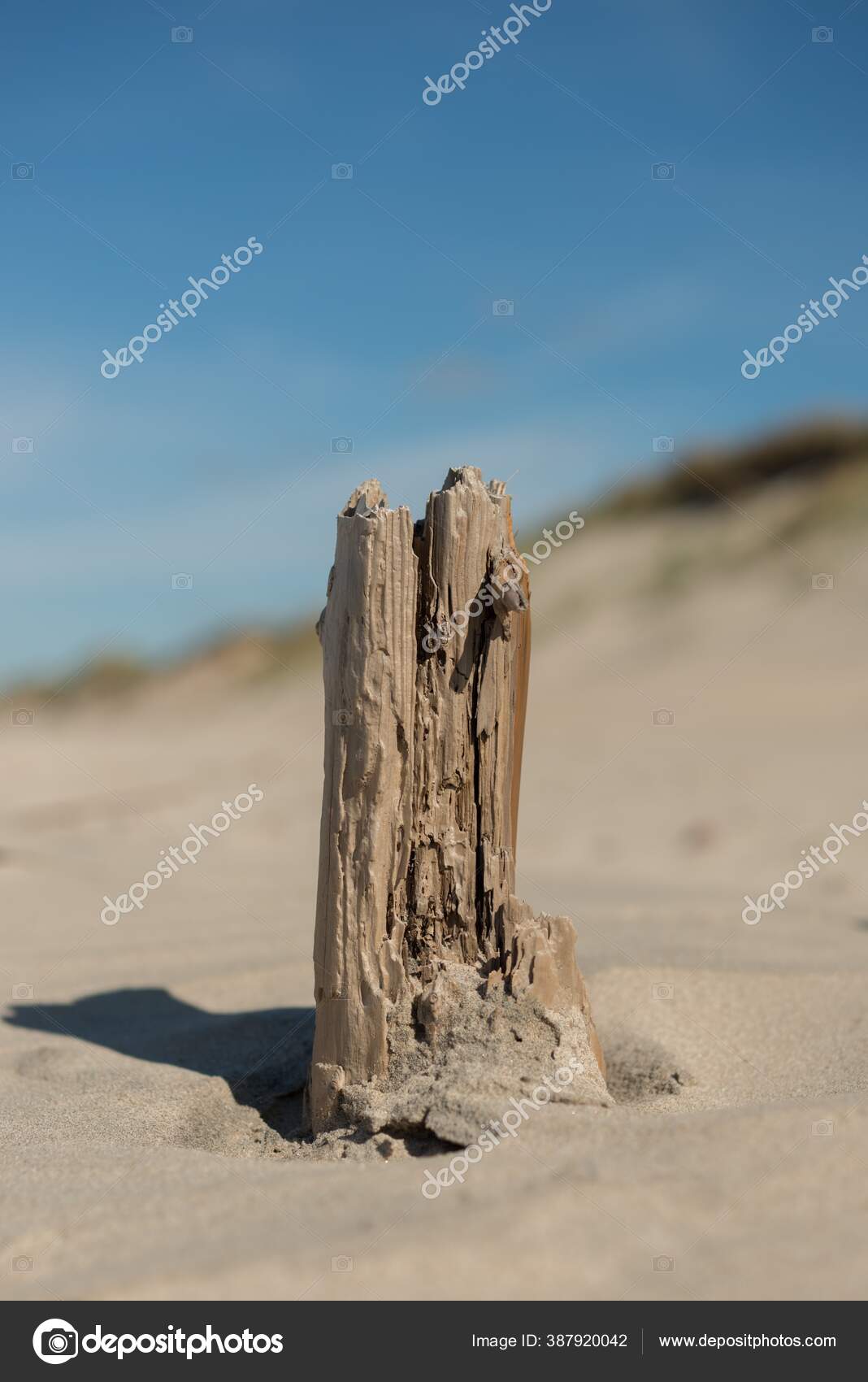 Old Rough Timber Jabbed Sand Sandy Surface Background Stock Photo by ...