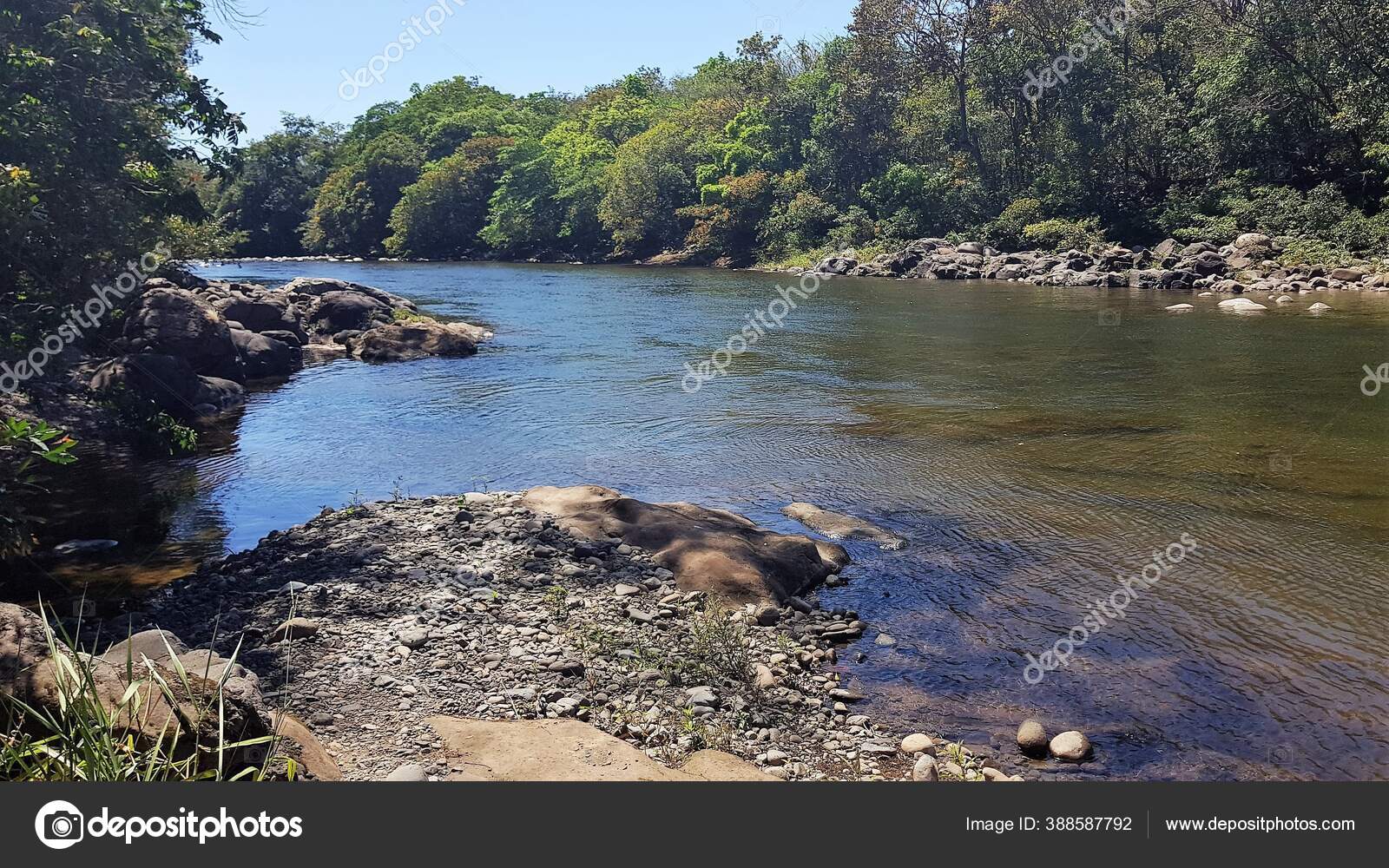 Beautiful Shot Clear Water River Trees Rocks Stock Photo by ©Wirestock ...
